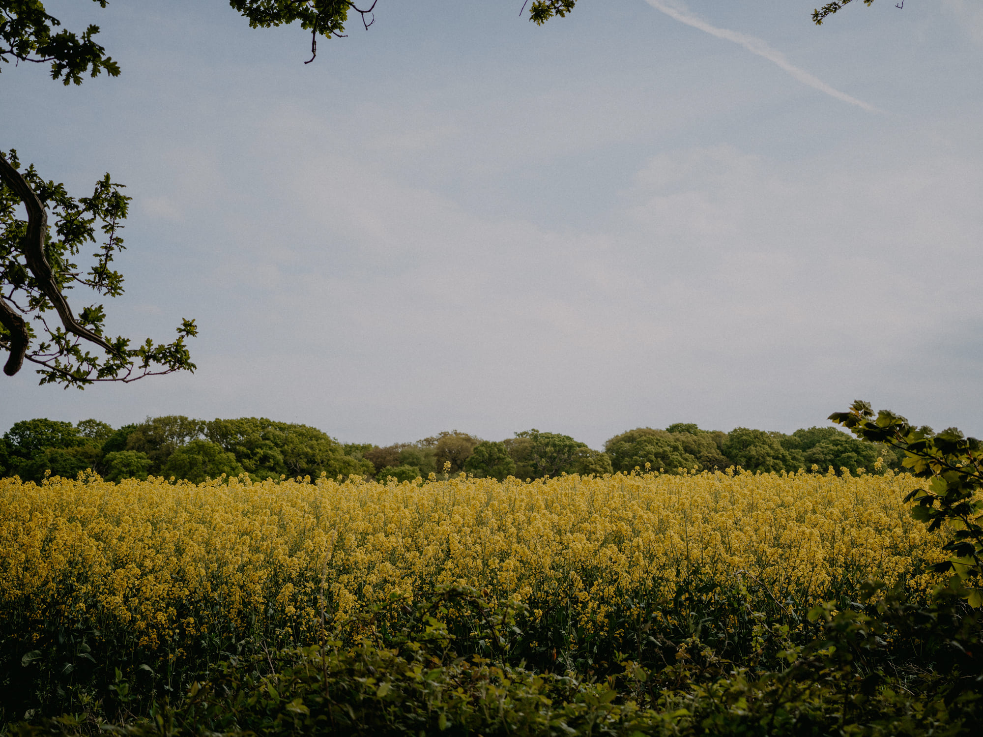 Comercial Agrocenter